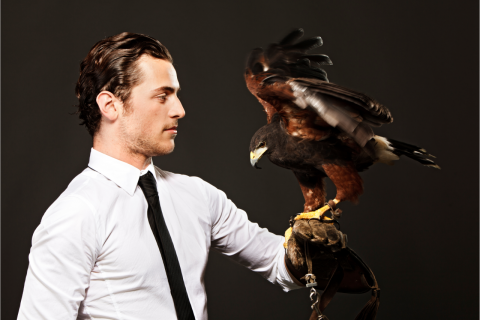 Devenir fauconnier Métier, formation, salaire, etc.